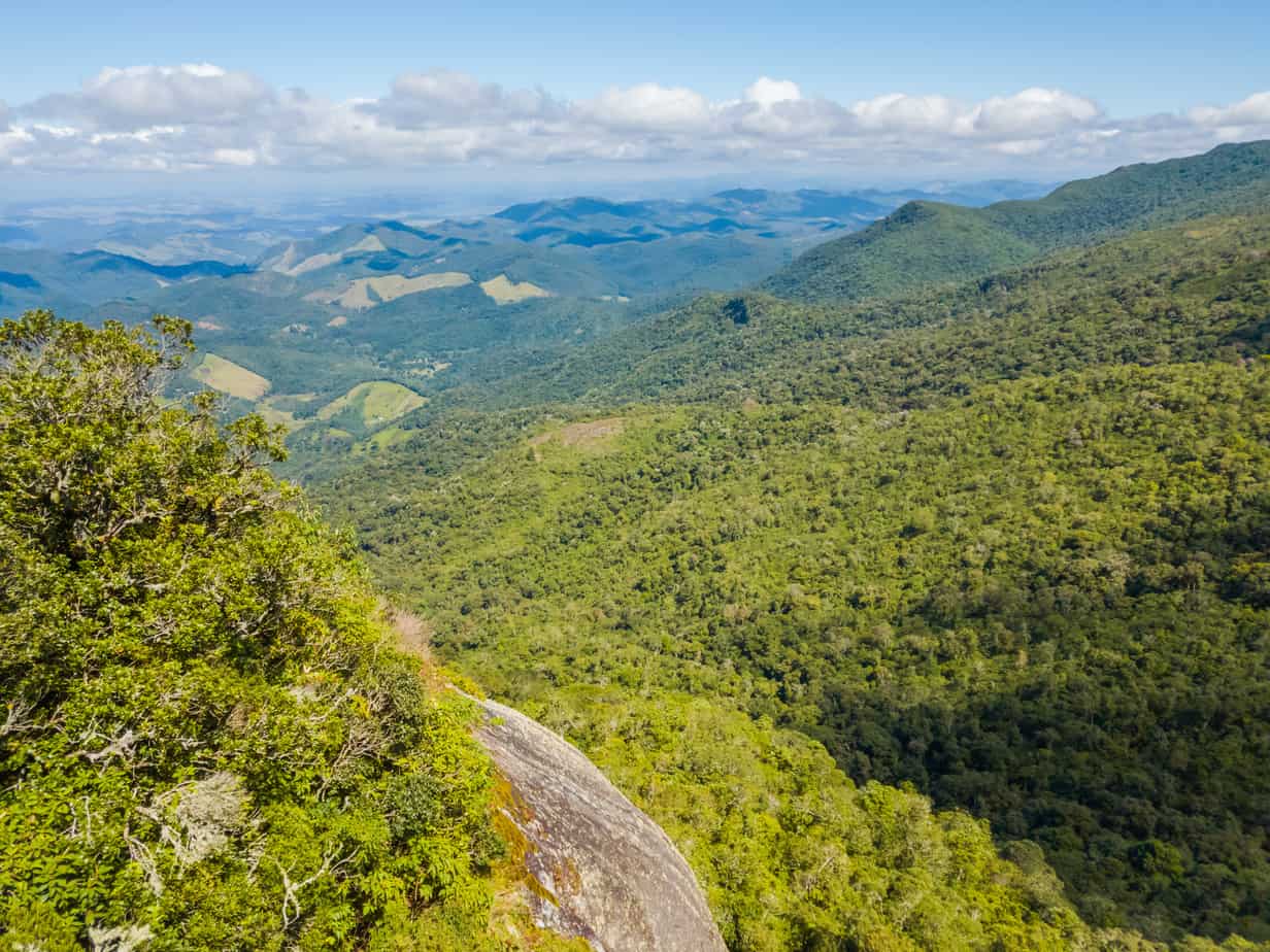 Forest landscape at Monte Verde, Minas Gerais, Brazil. - Hexa Resources